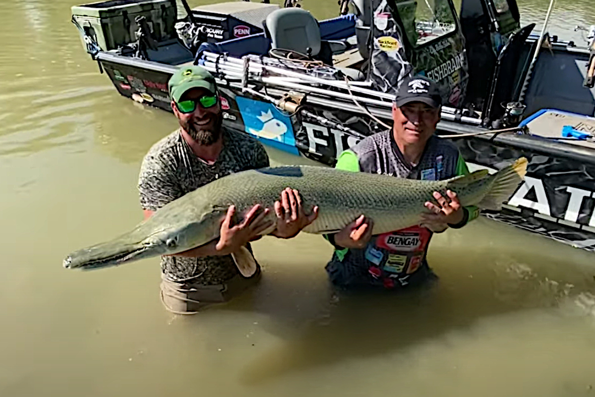 Texan Bags Alligator Gar That Approached the New World Record - Wide ...