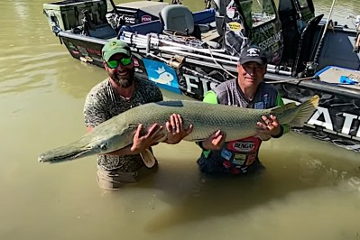 7-Foot, 230-Pound Alligator Gar Drags Jon Boat Around Texas River ...