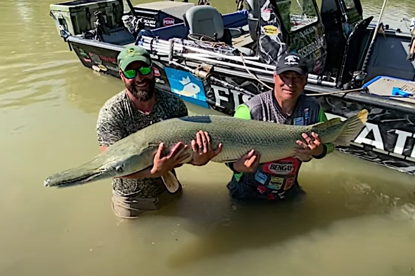 Mississippi Fisherman Surprised with World Record Longnose Gar
