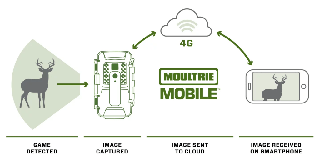 How a Cellular Trail Camera Like the Moultrie X-6000 Can Be the ...