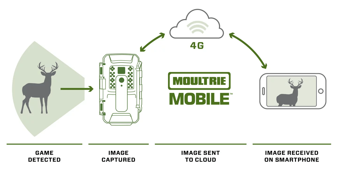 How a Cellular Trail Camera Like the Moultrie X-6000 Can Be the ...