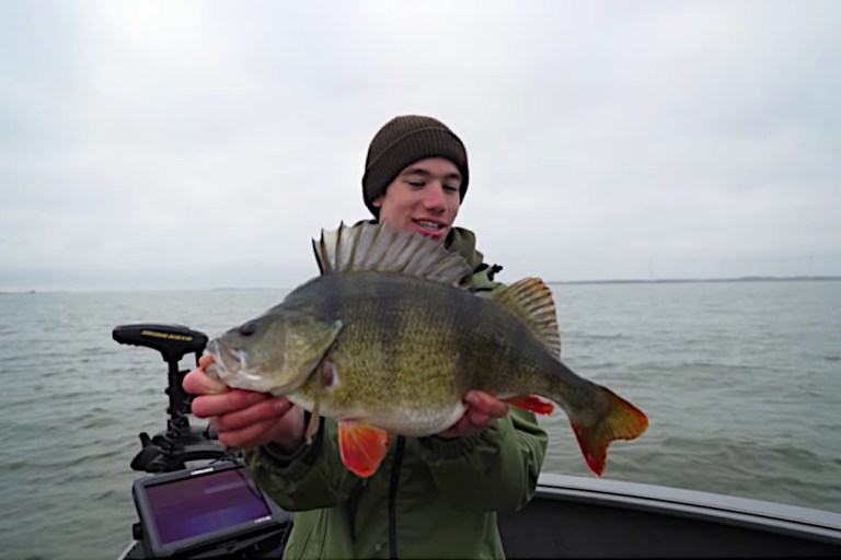 New Tennessee State Record Perch Caught By Michigan Angler - Wide Open ...