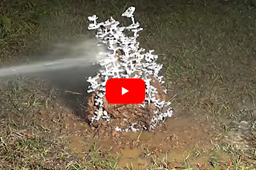 Molten Aluminum Poured Into Fire Ant Colony Reveals Nest's Inner ...