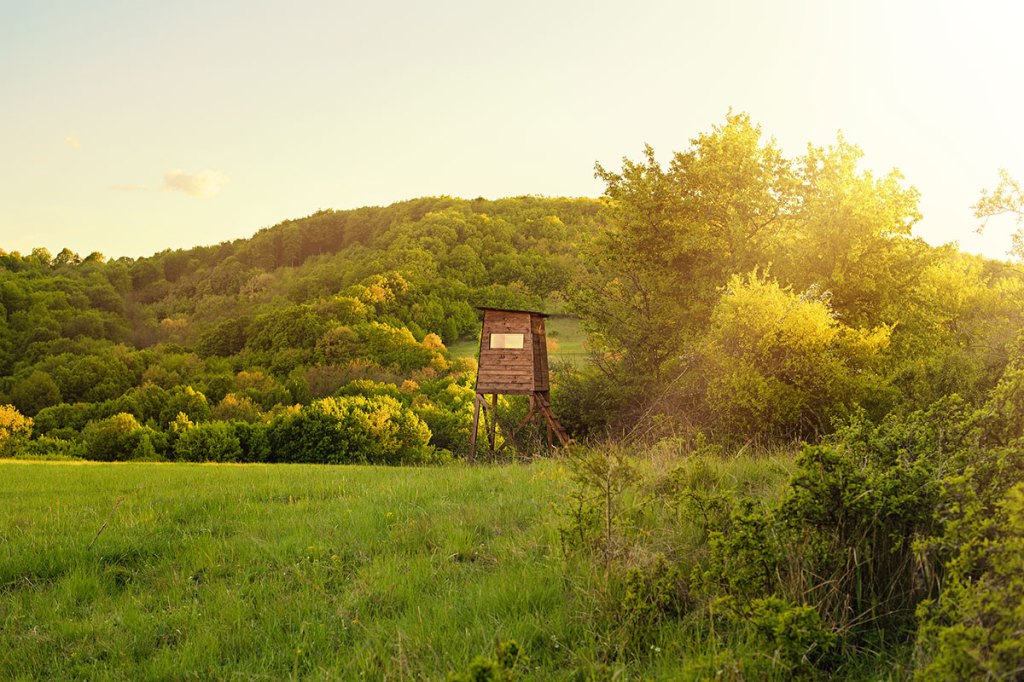 A Brief History of Modern Hunting: Important Facts and Milestones ...