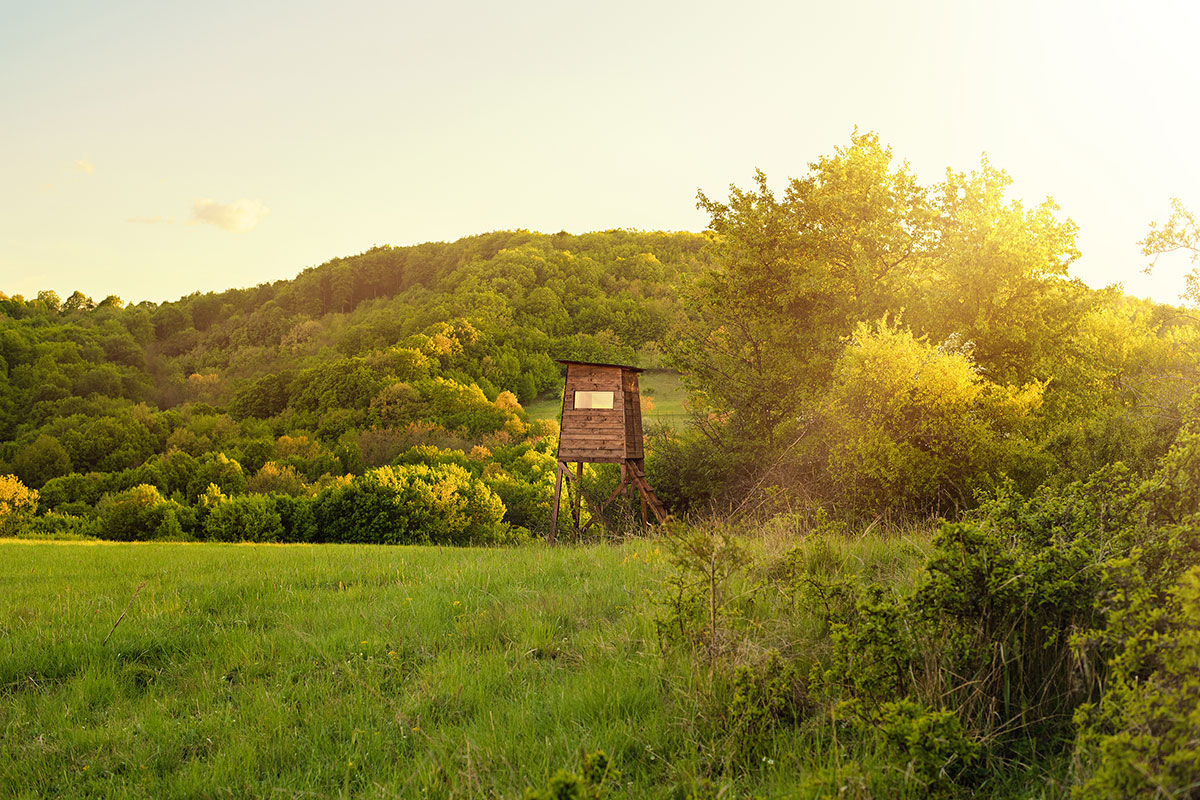 A Brief History of Modern Hunting: Important Facts and Milestones ...