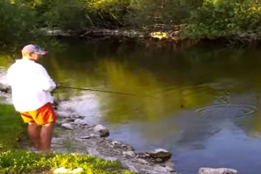 Florida Alligator Aggressively Goes After Fisherman - Wide Open Spaces