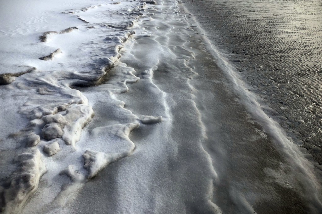 This Massive Ongoing Texas Fish Kill is Currently a Mystery, But It's ...
