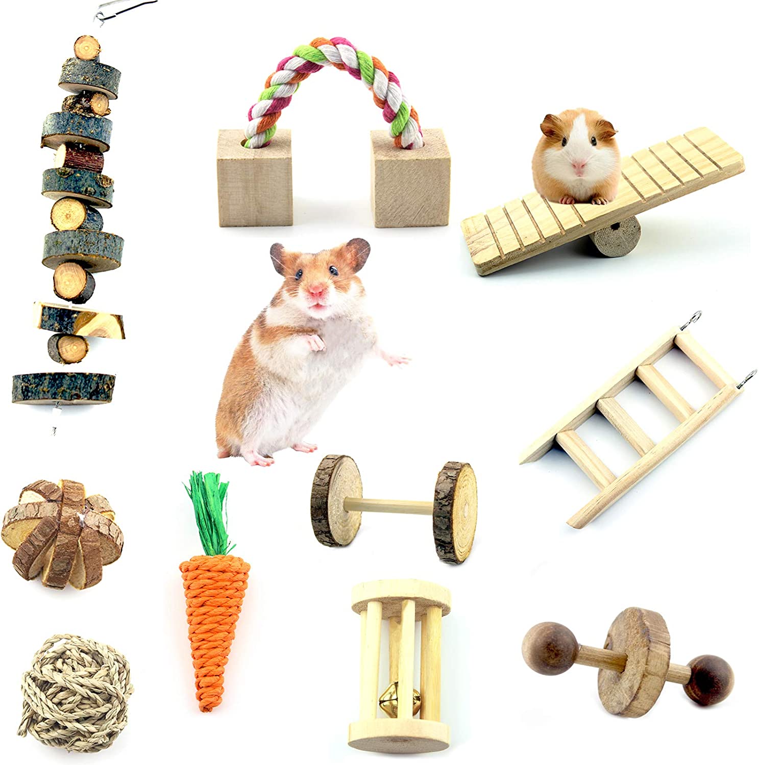 Rat Toys: 5 Best of 2021 (Boredom Busters + Clean Teeth)