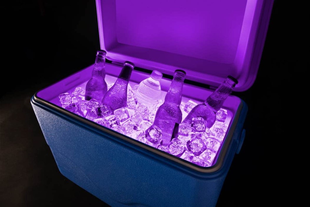 5 Best Cooler Lid Lights of 2022 for Summer Bonfires