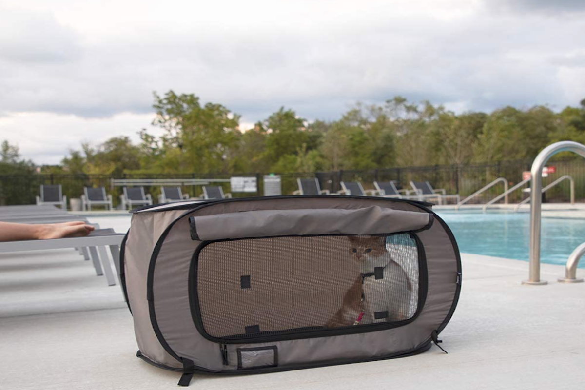 6 Best Cat Kennels of 2022: Affordable, Airline-Approved, & More