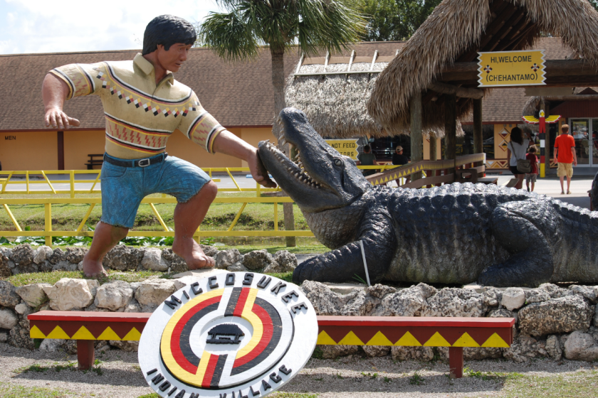 Miccosukee Indian Village Festival: Tribal History & Yearly Events to See