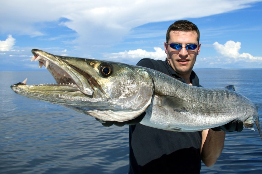 Barracuda Fishing: Places to Go and Gear to Use - Wide Open Spaces