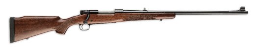 Top Bear Hunting Rifles on the Market