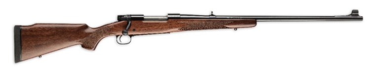 Top Bear Hunting Rifles on the Market