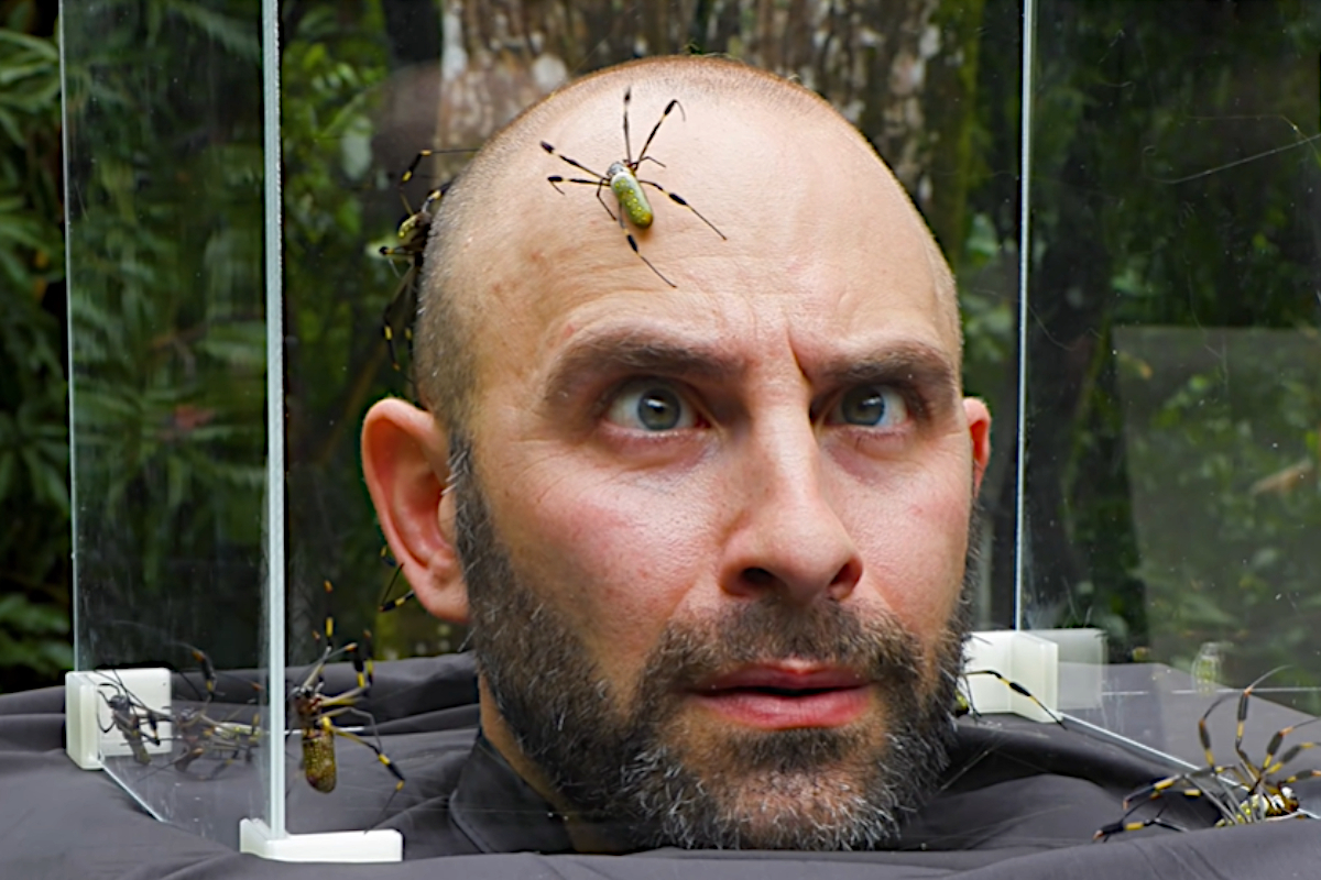 Daredevil Puts Head in Spider Box for More Than 2 Minutes - Wide Open ...