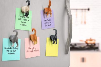 8 Best Cat Refrigerator Magnets of 2021 (Housewarming Gifts)