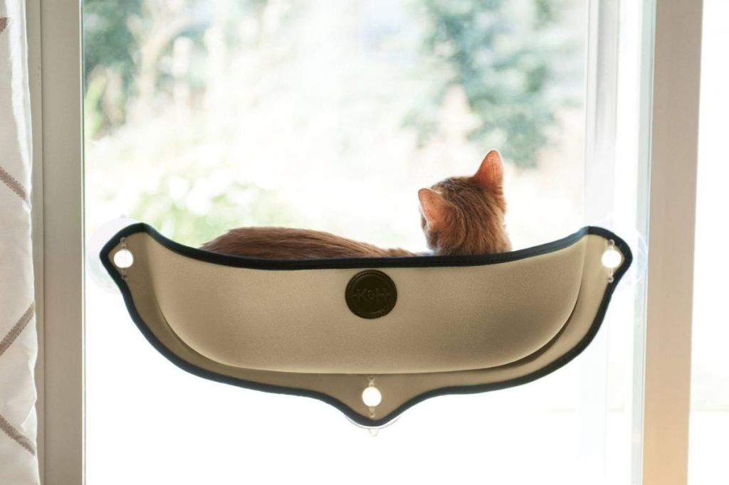 8 Best Cat Window Perches of 2022 Where the Curious Kitty Can Kick-It