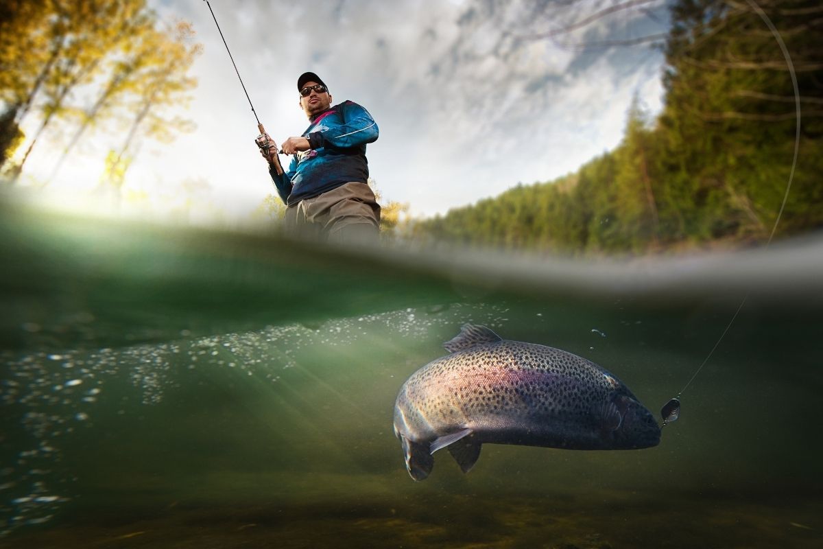 Best Fishing Times: Investigating the Conditions and Weighing the ...