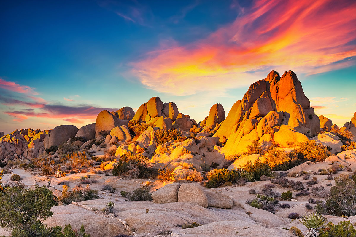 California National Parks: Top Destinations for Wilderness Adventure
