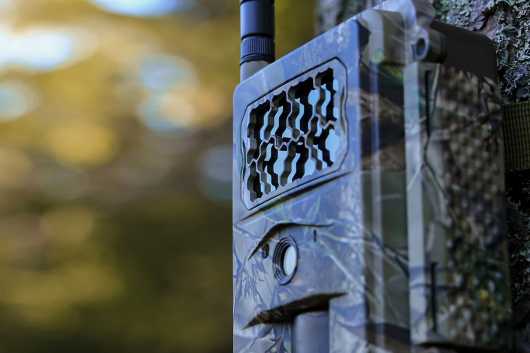 4 Ways to Use Your Trail Cams During the Hunting Off Season - Wide Open ...