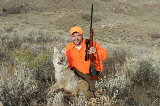 Coyote Hunting 101: Most Everything You Need to Know - Wide Open Spaces