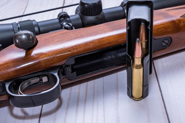 Rifle Calibers for Hog Hunting: Here Are 3 Top Choices - Wide Open Spaces