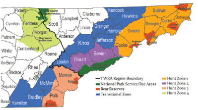 Tennessee Bear Hunting | Info, Regulations, Licenses, and More - Wide ...