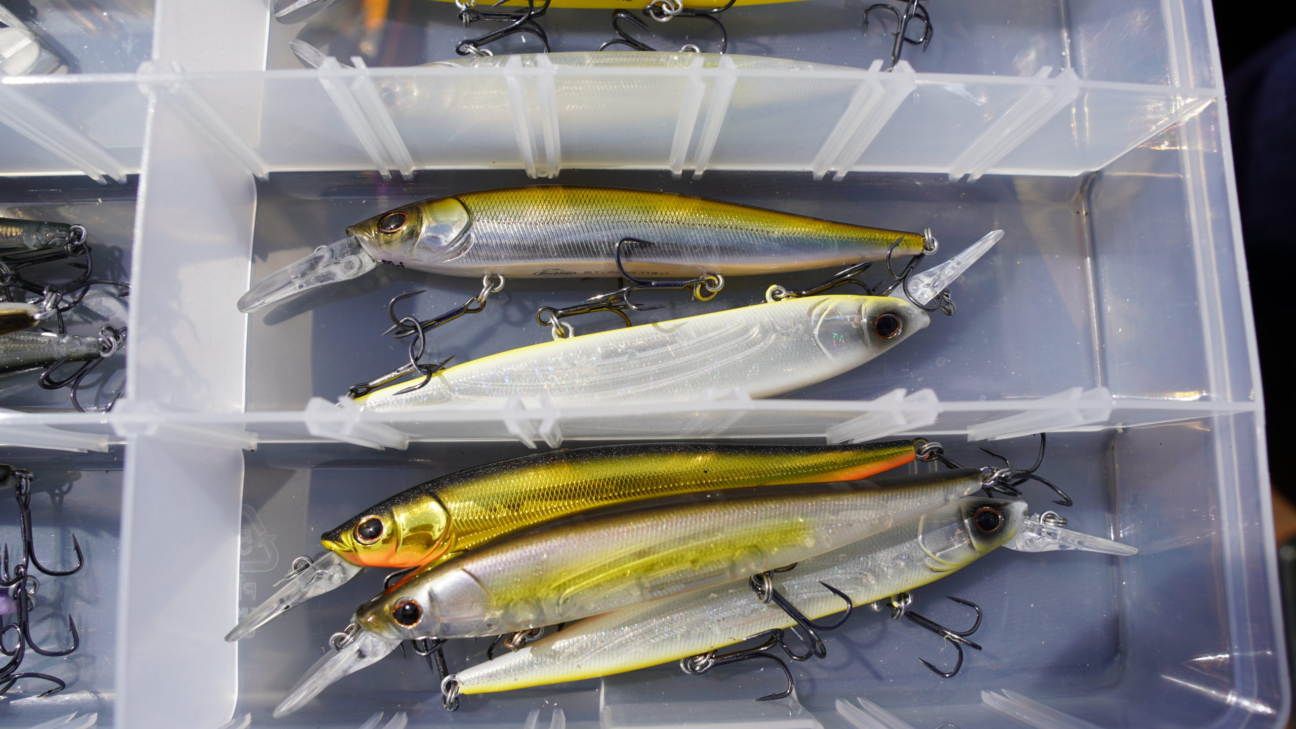 Berkley Announces New Lures and Colors for 2021 Line - Wide Open Spaces