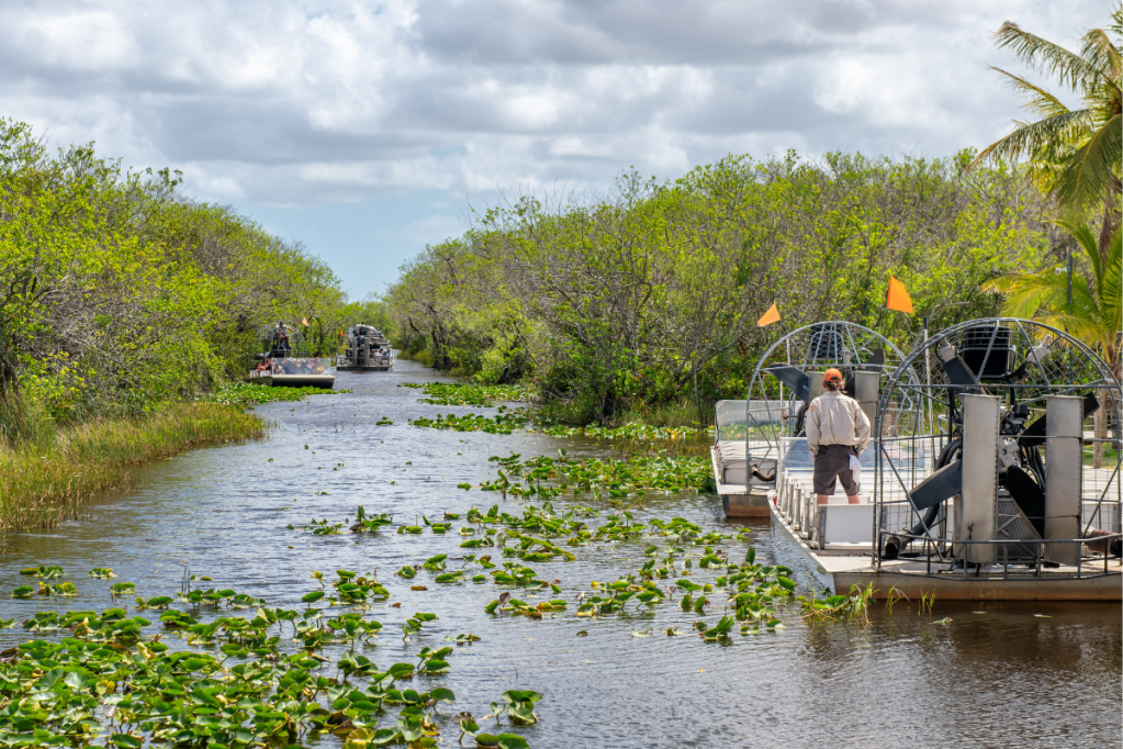 Everglades National Park: Map, Popular Camping & Things To Do