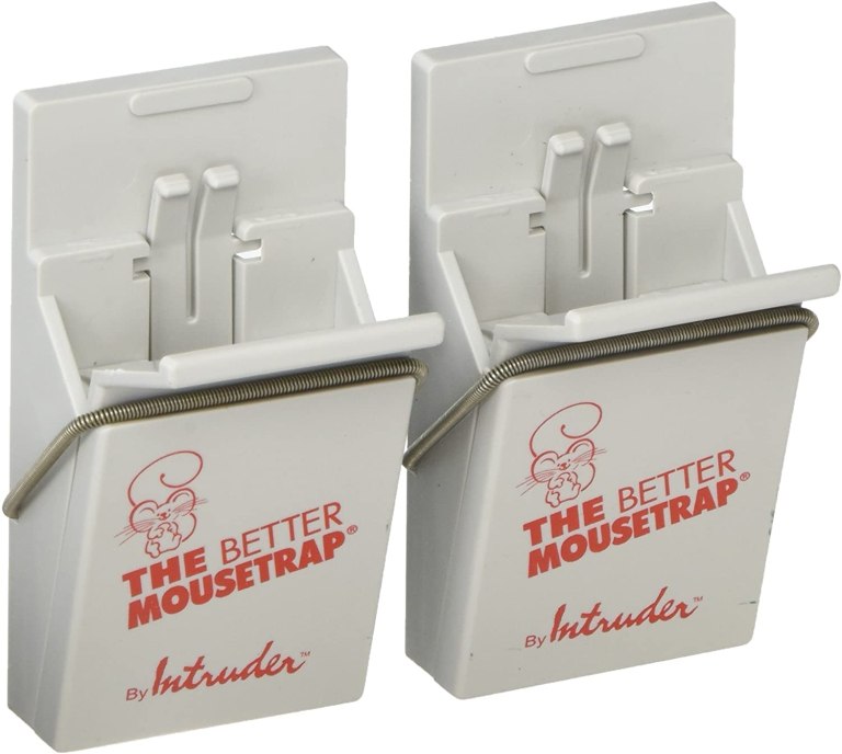 8 Best Mouse Traps of 2021: Snap, Sticky + Humane Options for Mice ...