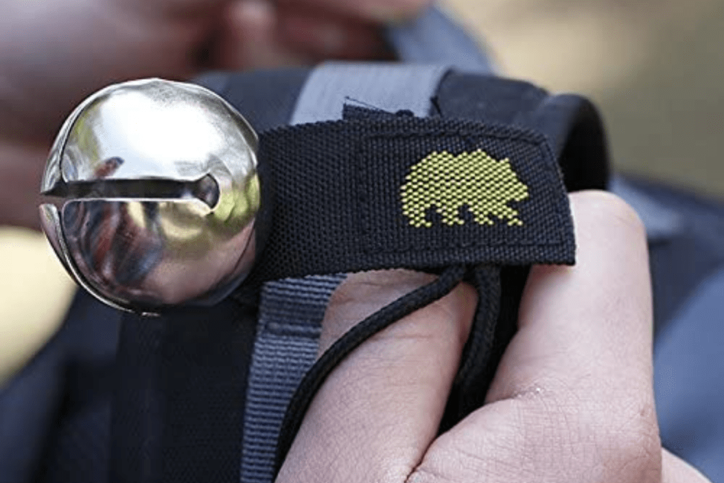 Bear Bell: The Best of 2021 Under $8 + Why People Are Skeptical About ...