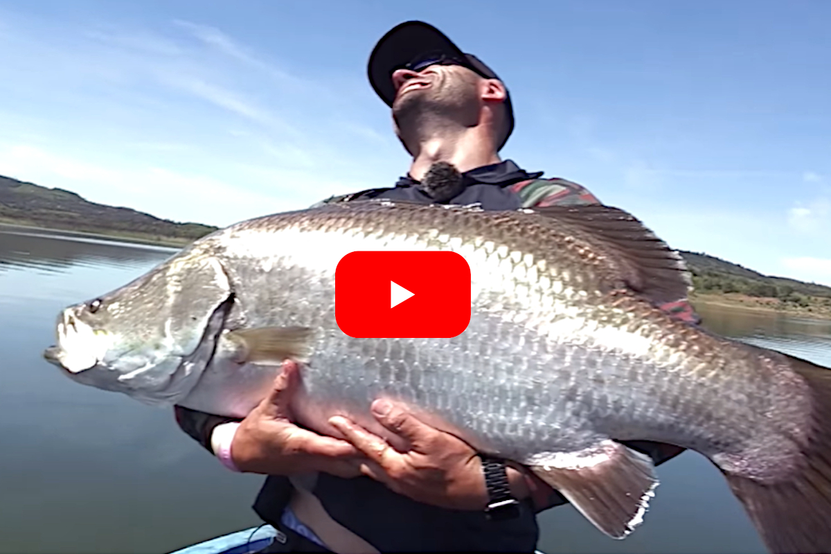 Massive Barramundi Gives Angler a Tough Challenge in Australia - Wide ...