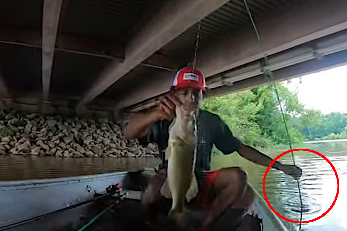 Storm Drain Fishing is a Real Thing, and This Video Proves It - Wide ...