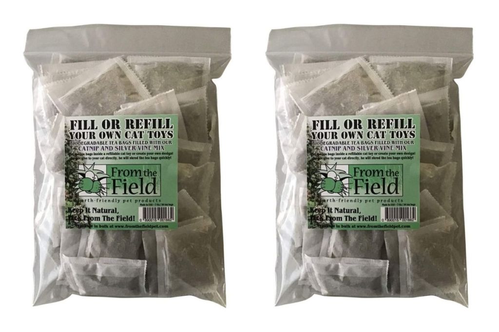 Catnip Tea for Cats: Why It Could Be Worth Steeping for Your Feline