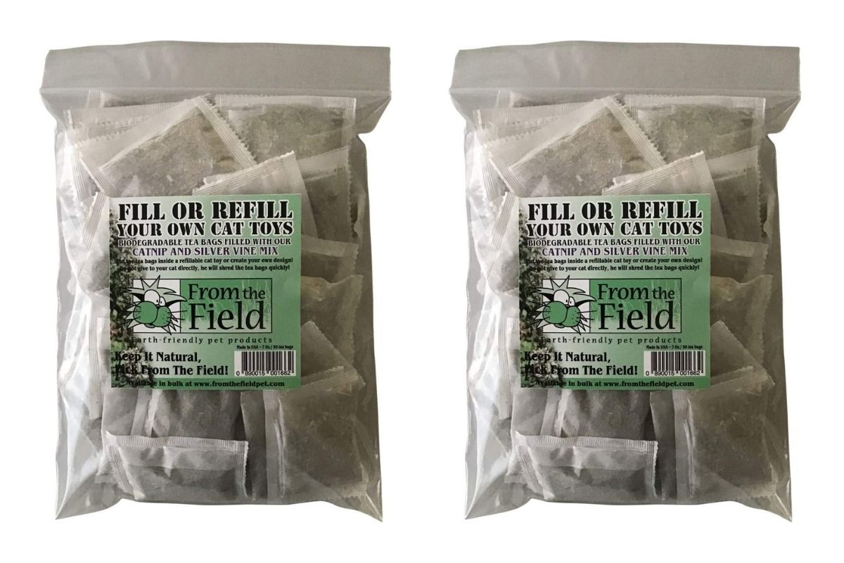 Catnip Tea for Cats: Why It Could Be Worth Steeping for Your Feline