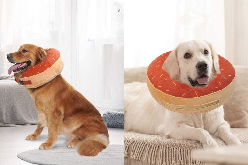Dog Cones: 8 Best of 2021 for All Dogs (Cute and Comfy Options)
