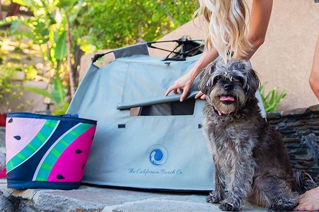 5 Best Dog Tents of 2022 for Camping With Dogs (And Outdoor Cats)