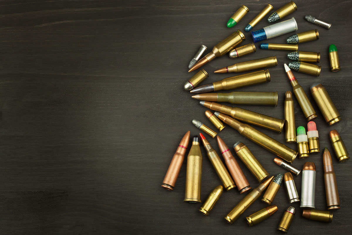 Bullet Trajectory: What is It and What Factors Affect It? - Wide Open ...