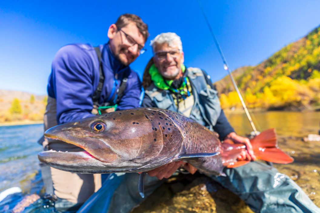 Taimen Fishing: Where, When, and How to Fish for This Impressive ...