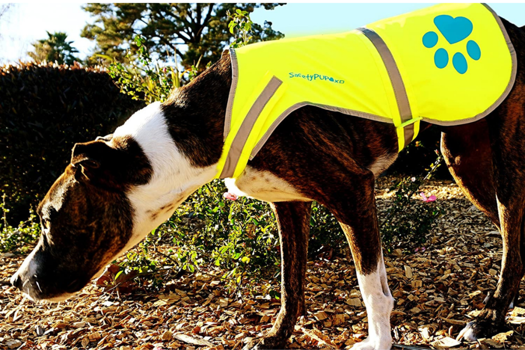 3 Best Safety Vests for Dogs of 2021 for Hunting, Walking, Work, and More