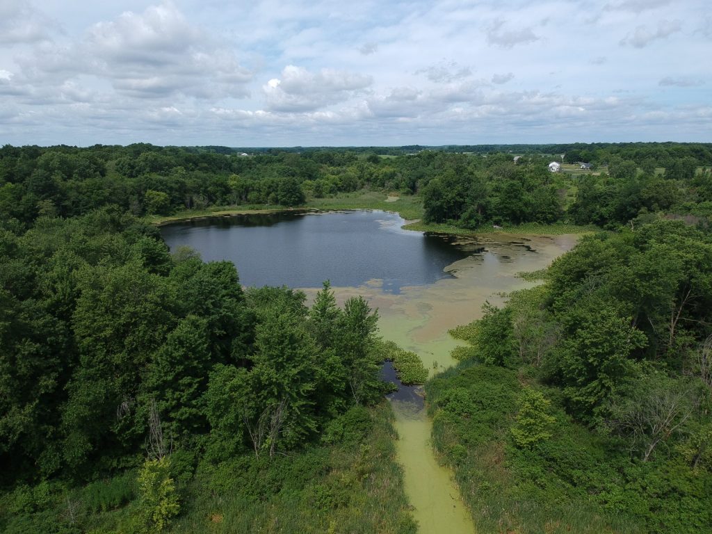 The Beast of Busco: The Legend of a 500+ Pound Indiana Snapping Turtle ...