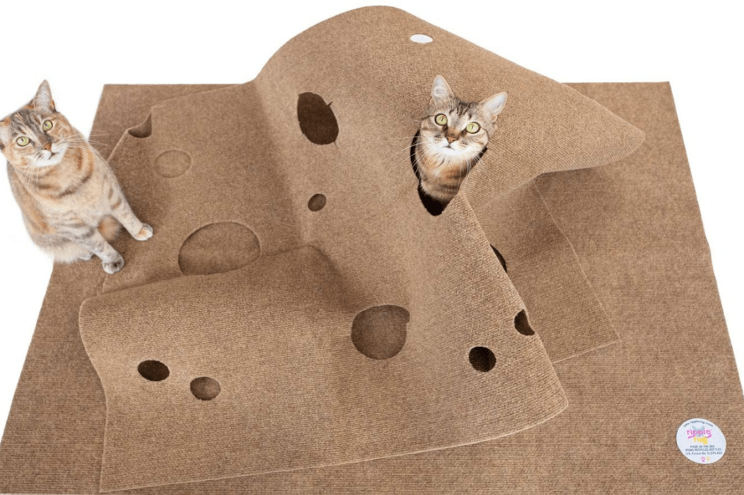 Activity Mat for Cats: The Best Toy To Keep Finicky Felines Busy For Days