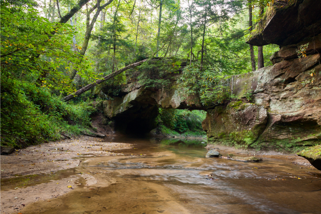 Red River Gorge: Kentucky's One-of-a-Kind Underground Kayaking!