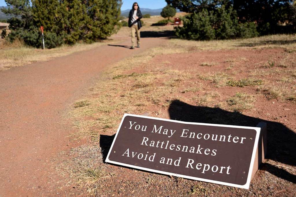 Better Watch Your Step in Rattlesnake Country... - Wide Open Spaces