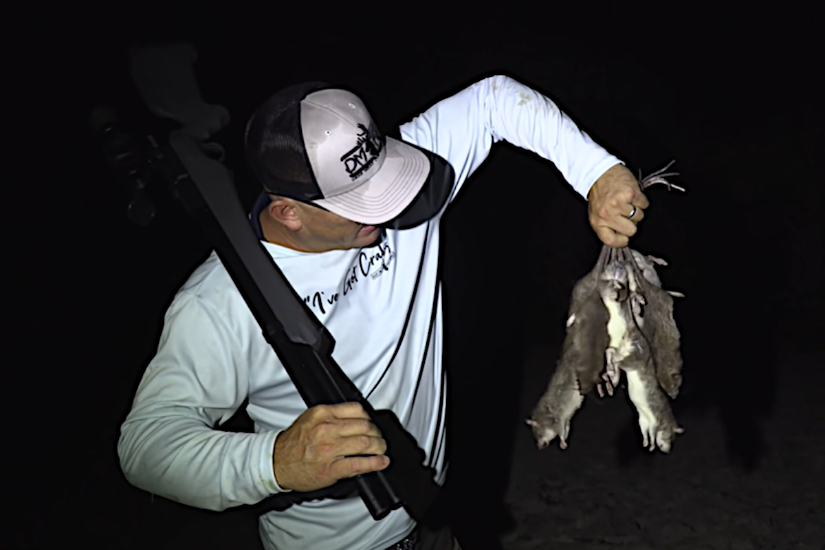 Airgunner Rids Farm of Rat Infestation with Night Vision Optics and ...