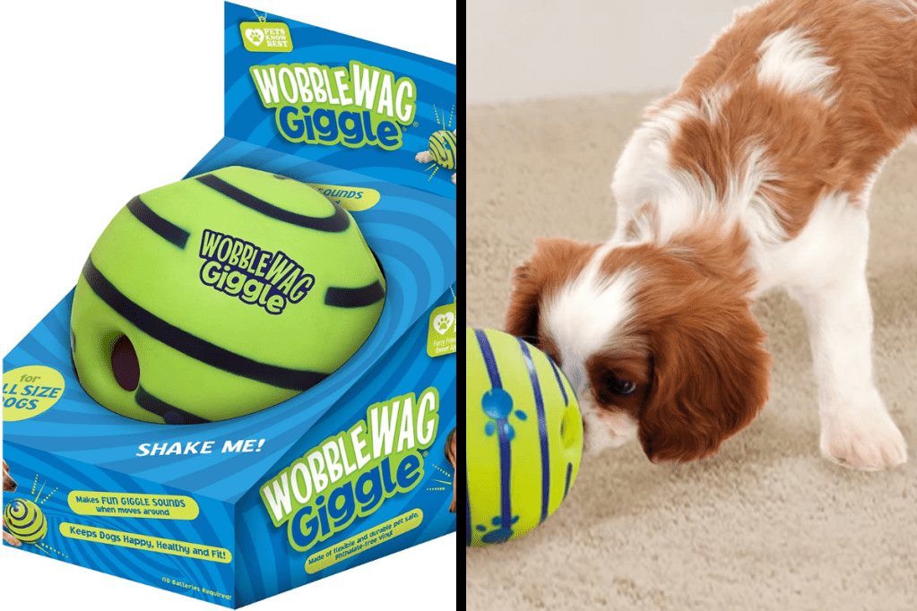 Wobble Wag Giggle Ball: Does It Work As Well as It Seems to on TV?