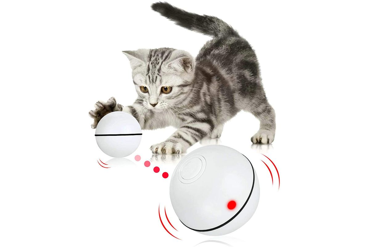5 Best Self-Rolling Cat Toys of 2021 on Amazon for Interactive Play
