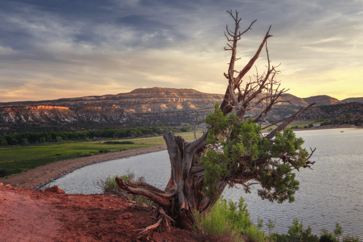 10 Best State Parks in Utah for Camping, Hiking, and All-Around Adventure