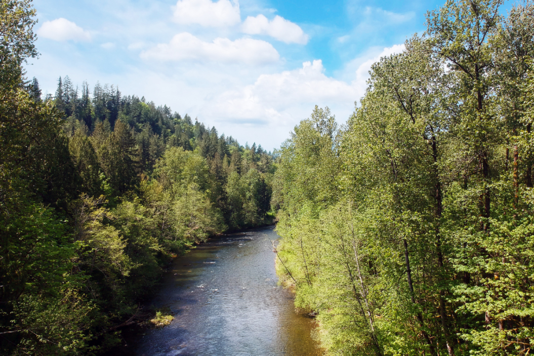 Flaming Geyser State Park: Washington's Gem for Hiking, Rafting + More!