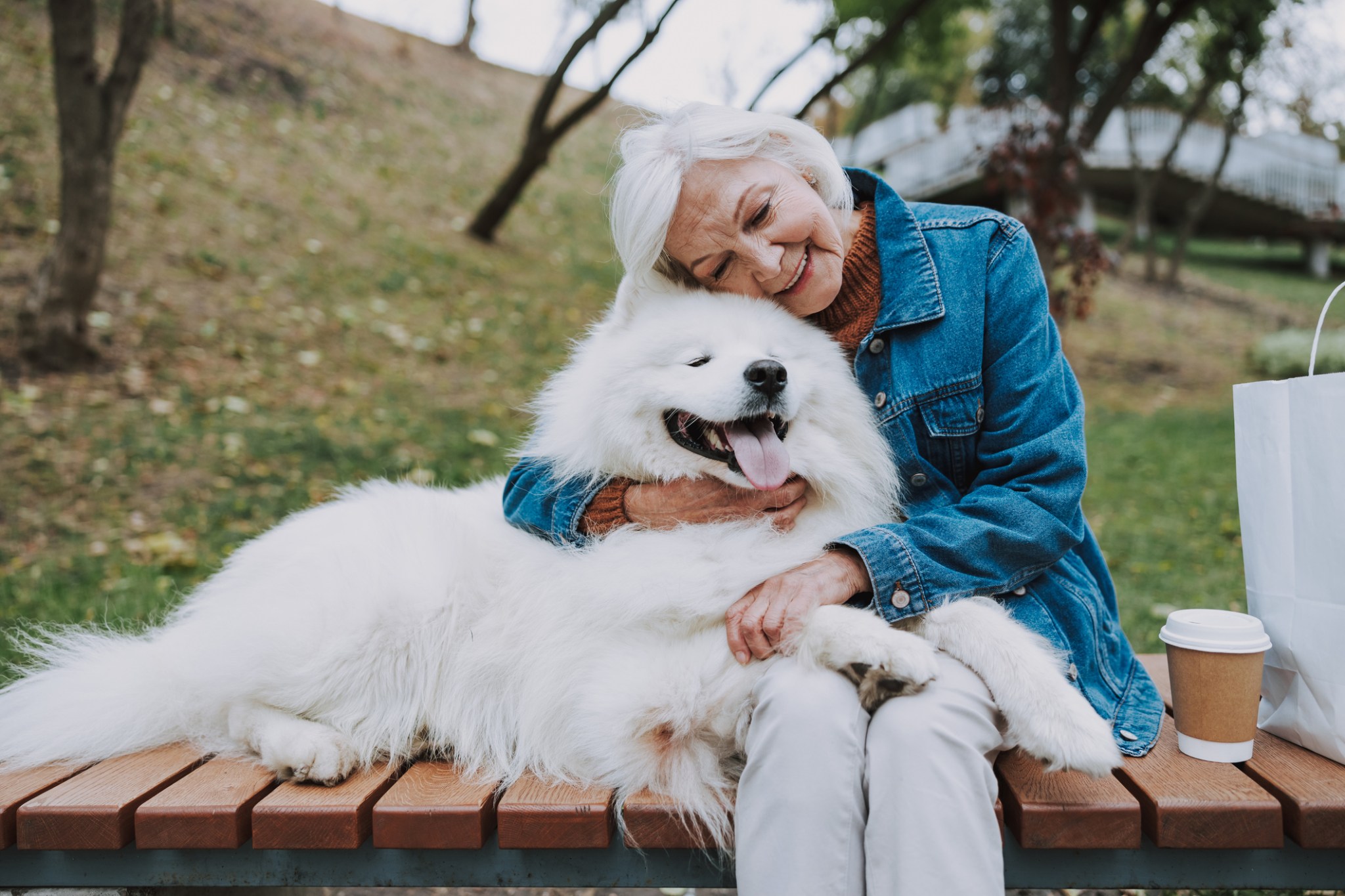 Are Samoyeds Really Hypoallergenic? Settling the Great Debate